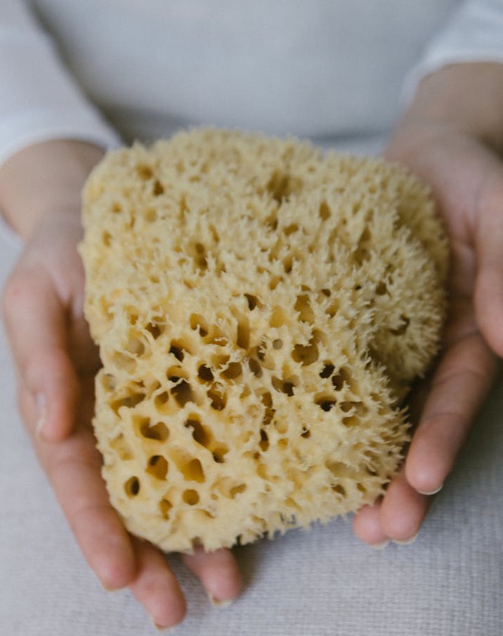 On Being a Sponge – CamDevo